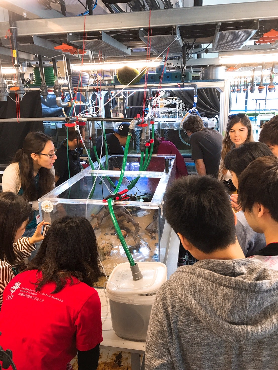 OIST Science Challenge 2019 - "Think Big, Start Small" | OIST Groups