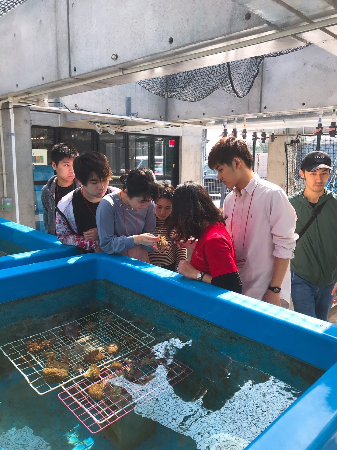 OIST Science Challenge 2019 - "Think Big, Start Small" | OIST Groups