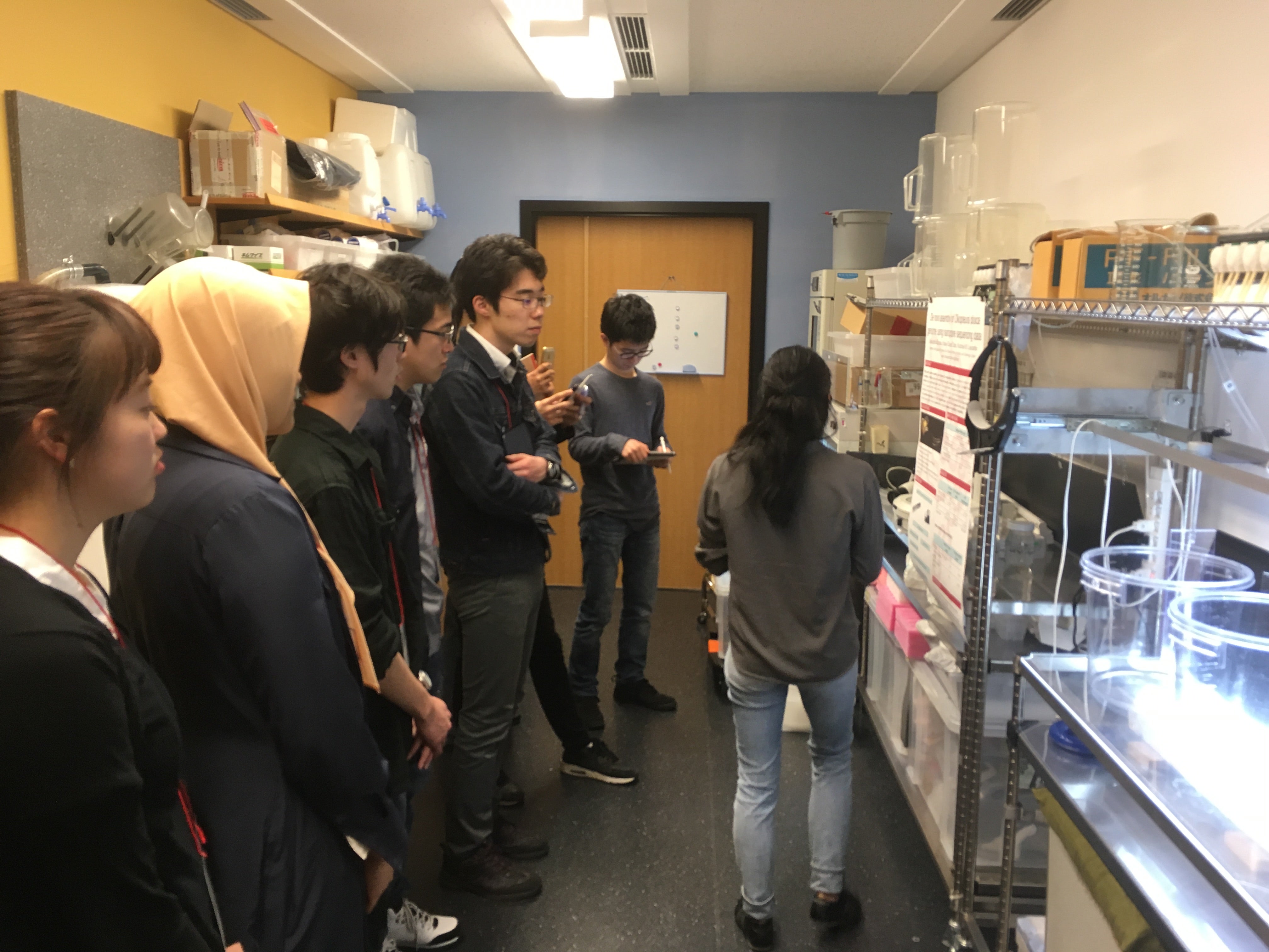 OIST Science Challenge 2019 - "Think Big, Start Small" | OIST Groups