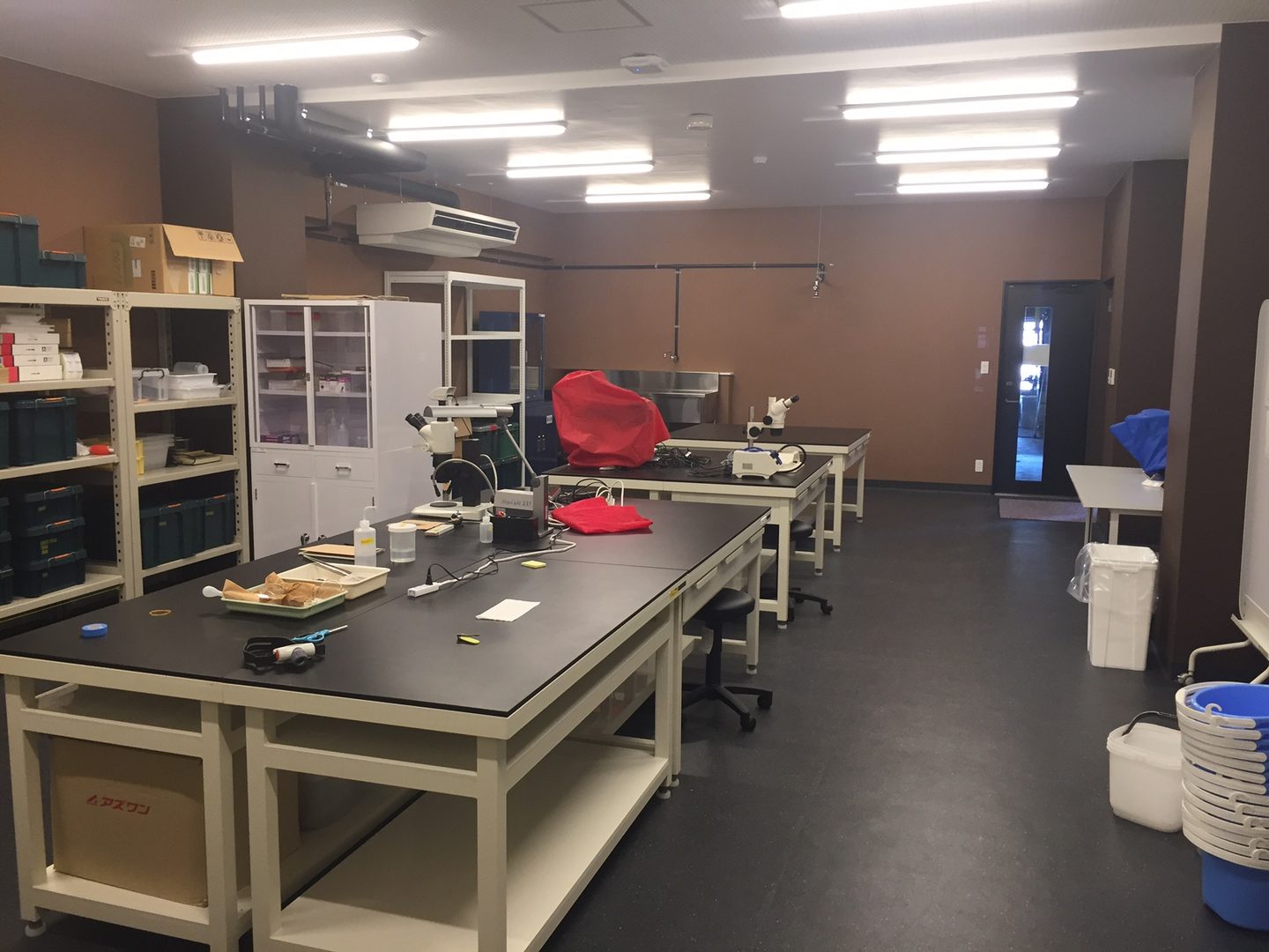 OIST Marine Science Station (OMSS) | OIST Groups