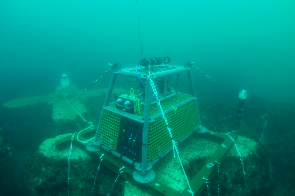 Installation of Observatory system by Tokyo University of Marine ...