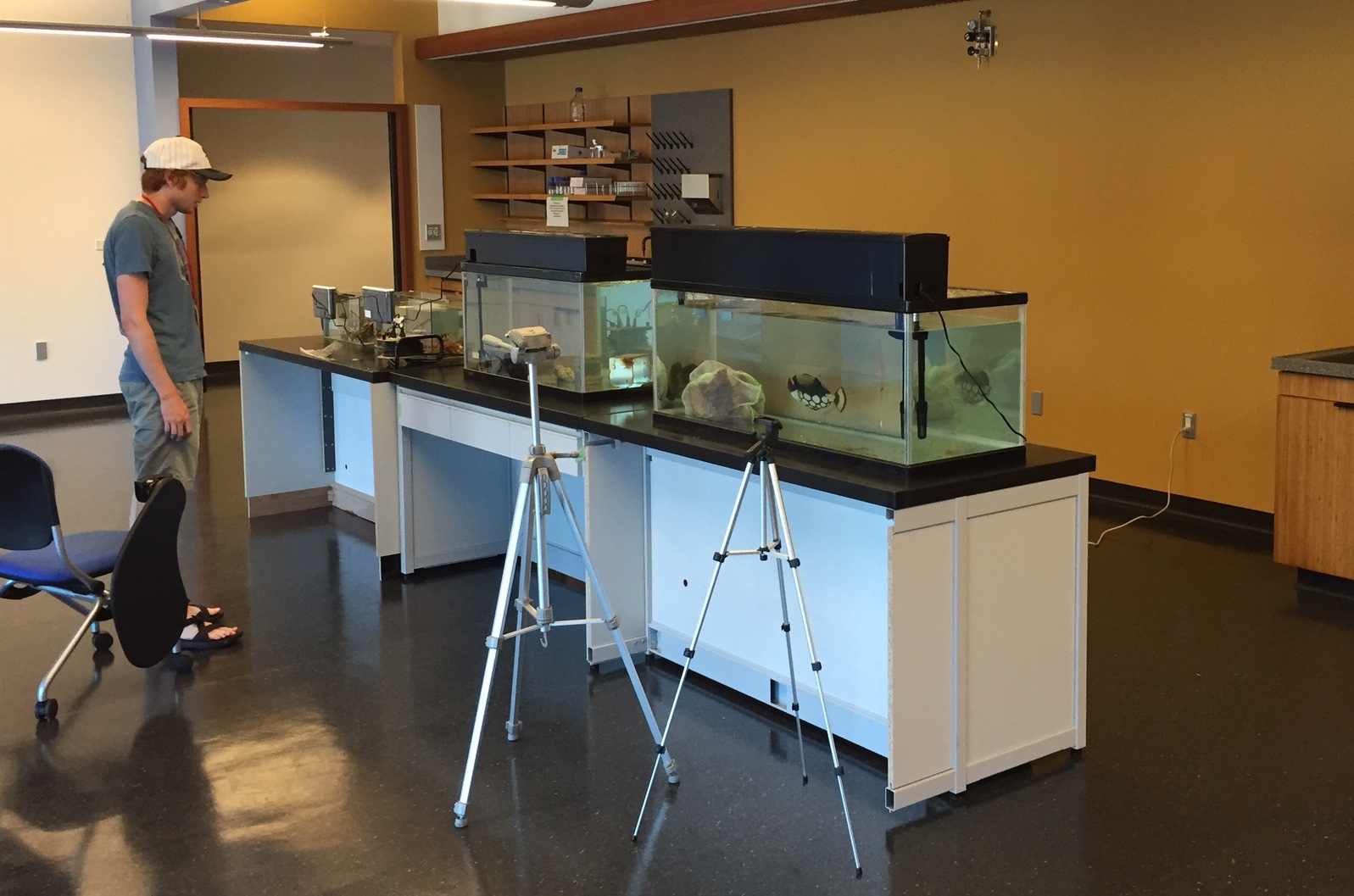 Fieldwork support on fish survey and sampling フィールド調査と魚類のサンプリングサポート ...