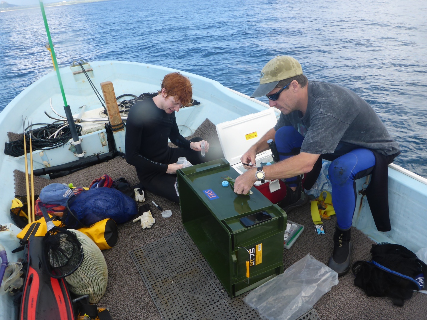 Fieldwork support on fish survey and sampling フィールド調査と魚類のサンプリングサポート ...