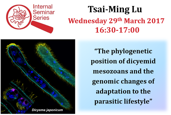 "The phylogenetic position of dicyemid mesozoans and the genomic ...